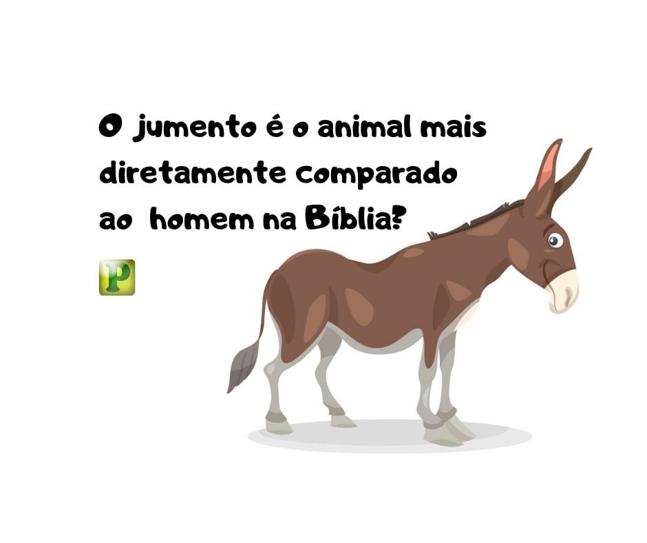 O Que é Raca Na Bíblia - Cultura Notícias