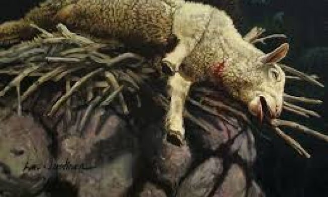 SACRIFÍCIO DO CORDEIRO – Gênesis 22:1 | Portal Revelação